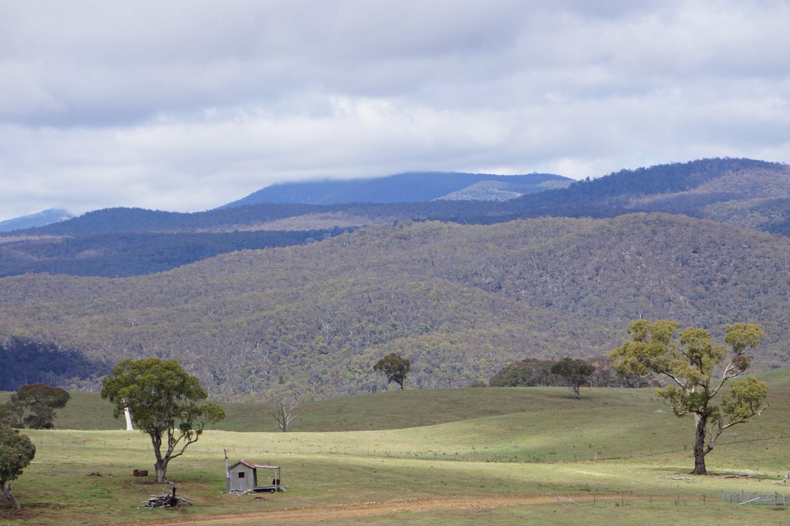 History - Inward Bound